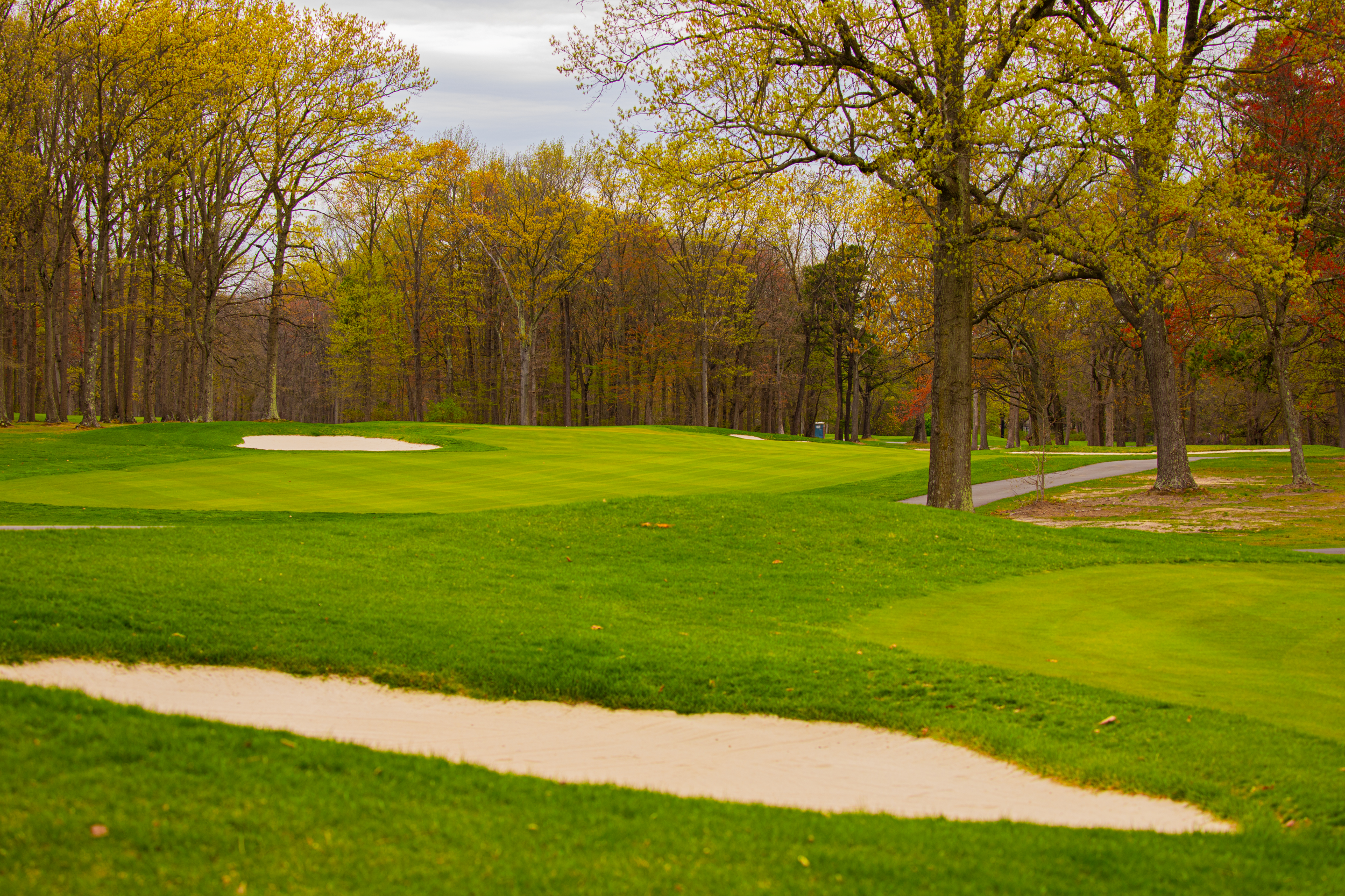 Tamarack Golf Course | Golf Course in East Brunswick New Jersey